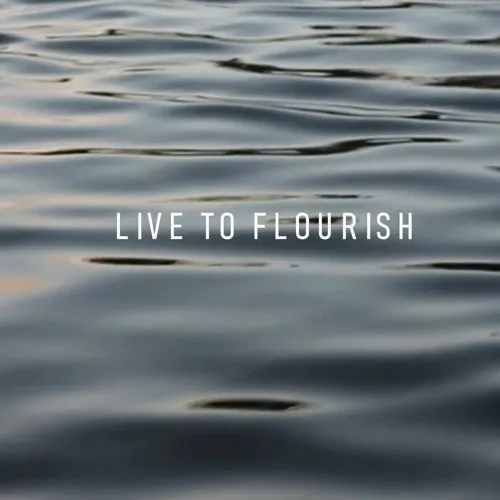 How Exercise May Help Us Flourish - K2 Fitness and Performance